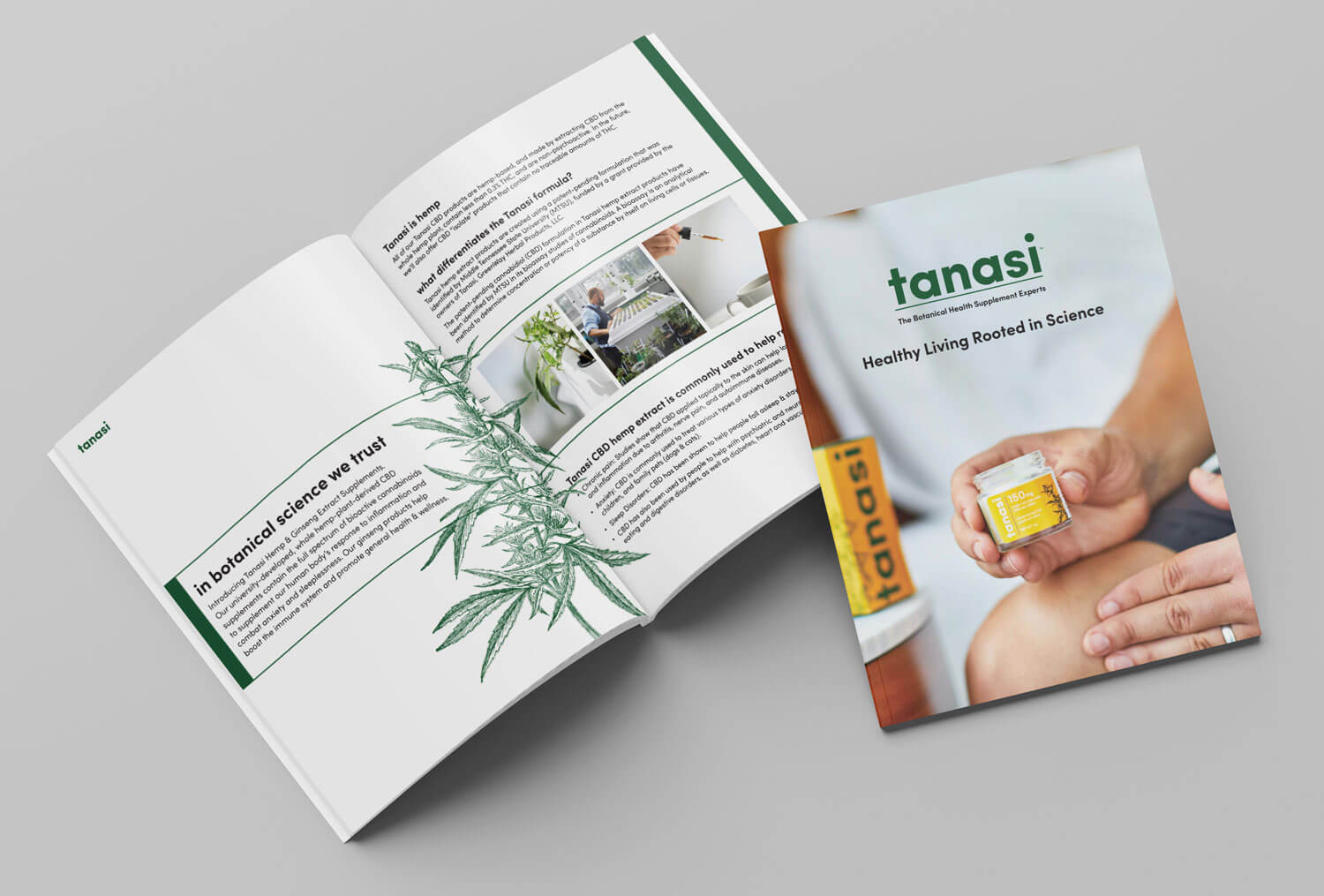 tanasi - Branding, Design and Marketing | Los Angeles, CA