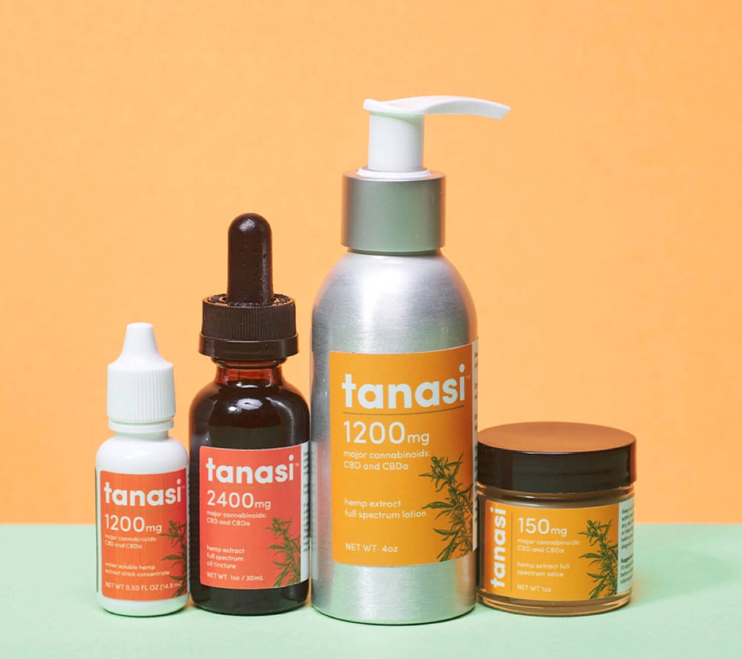tanasi - Branding, Design and Marketing | Los Angeles, CA